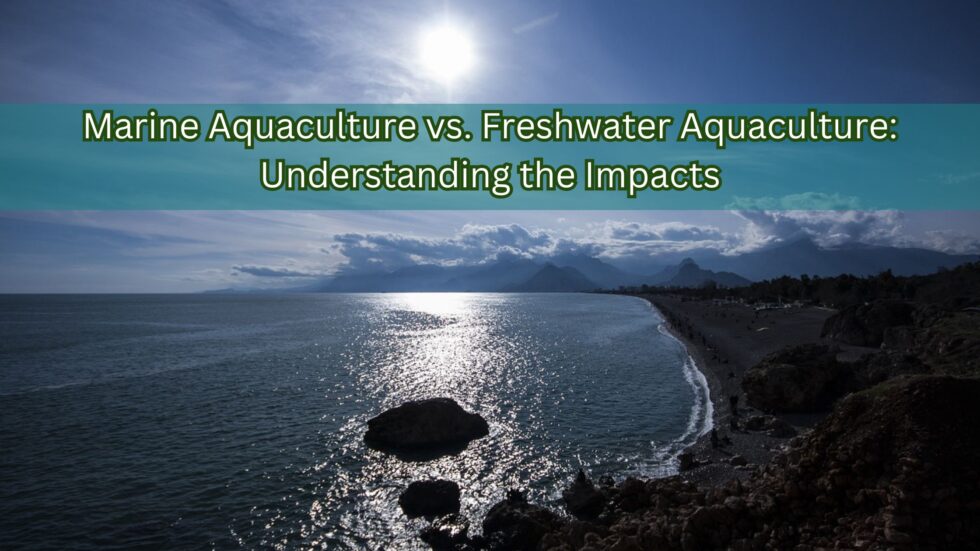 Marine Aquaculture vs. Freshwater Aquaculture: the Impacts