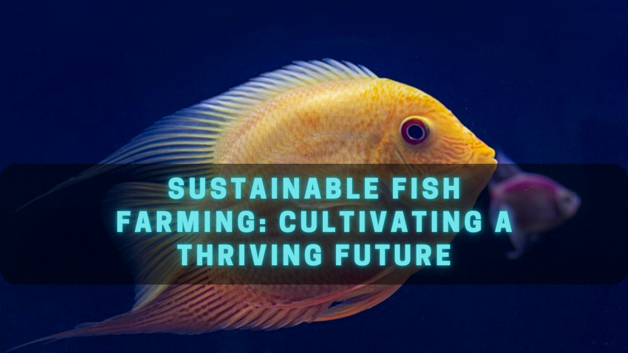 Sustainable Research and Development