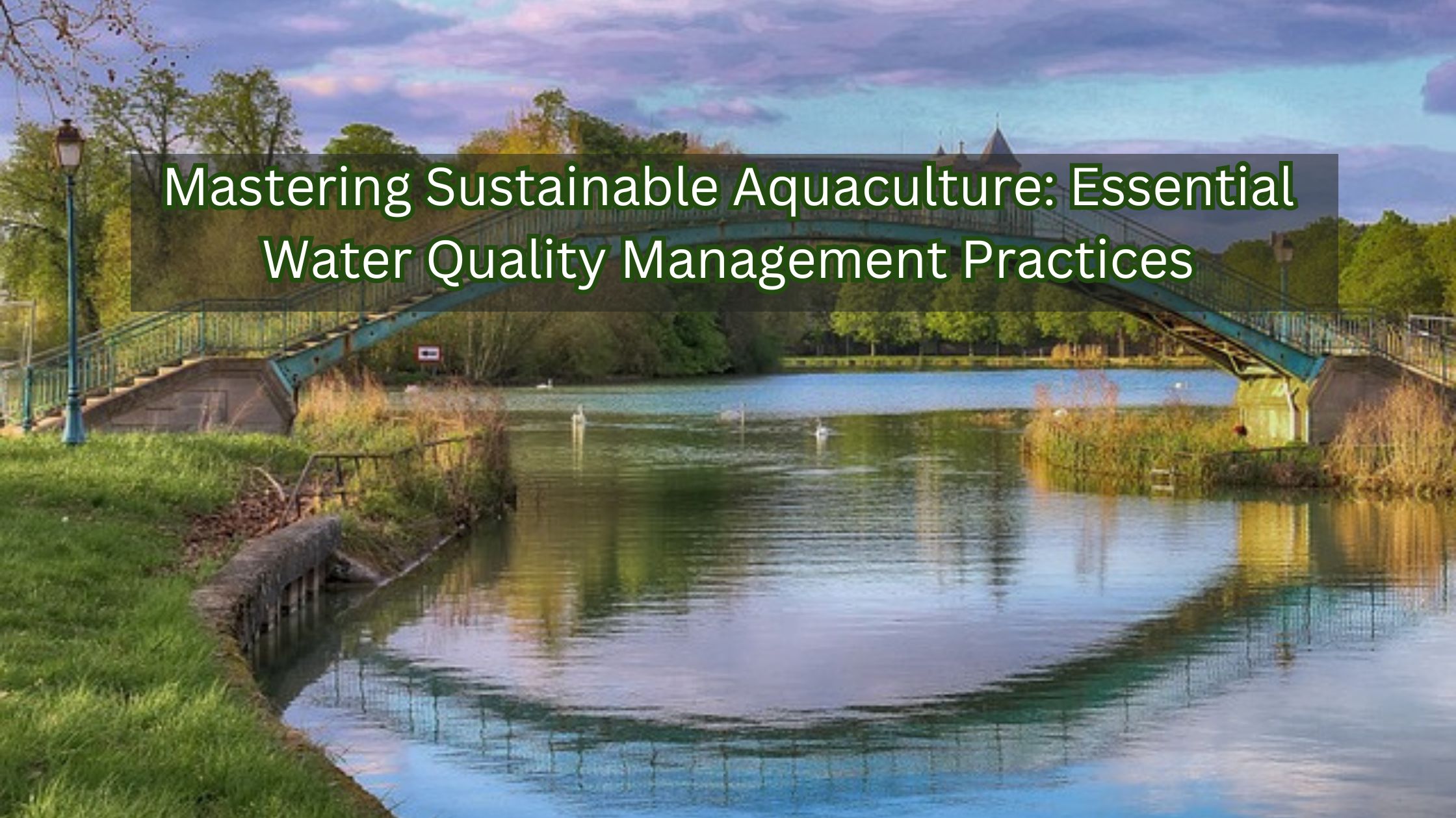 Blog | WorldWide Aquaculture