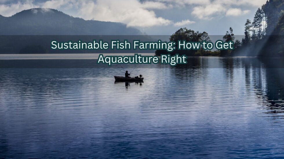 Sustainable Fish Farming: How to Get Aquaculture Right